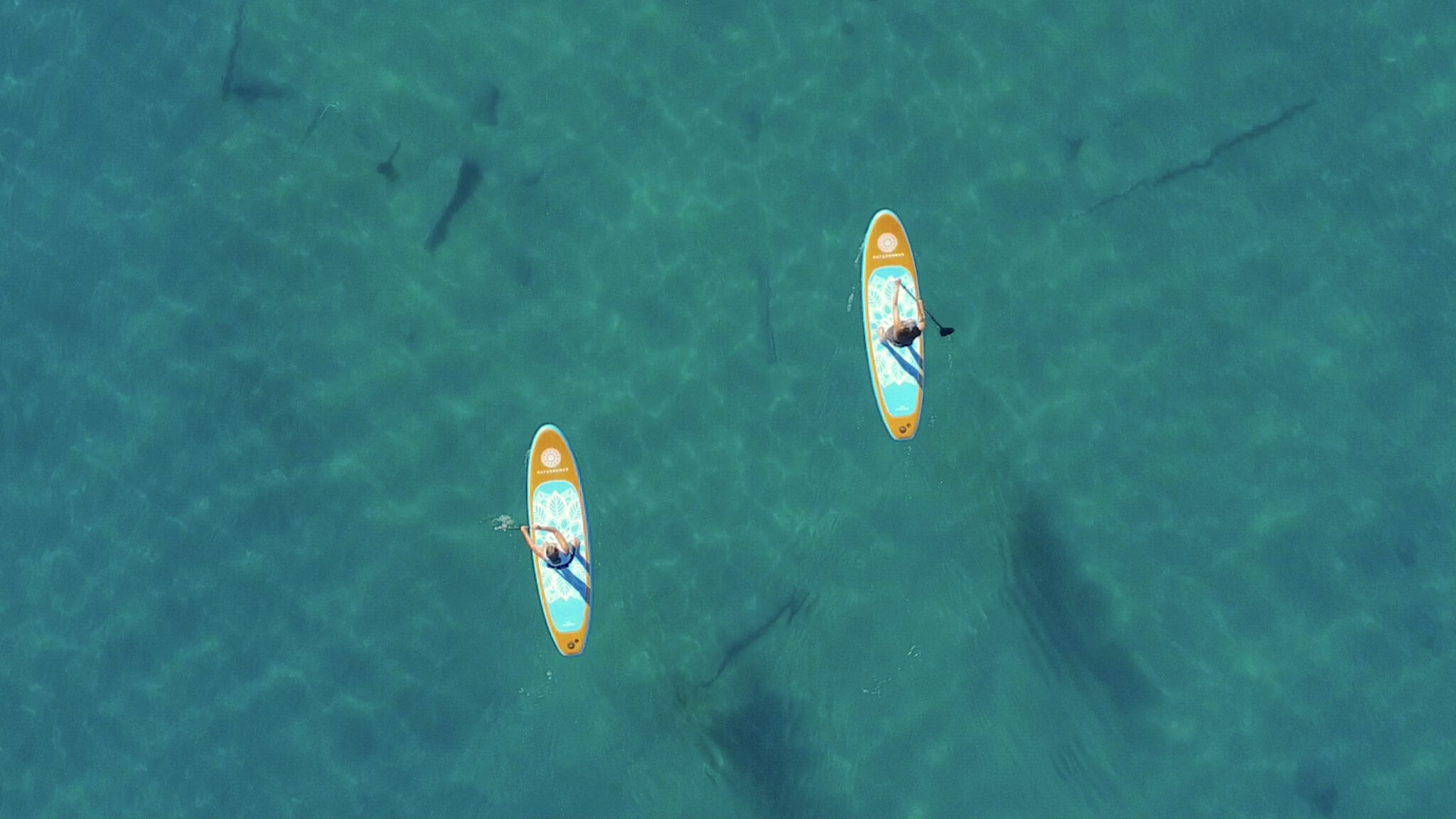 Willow Beach Paddle Board Rentals